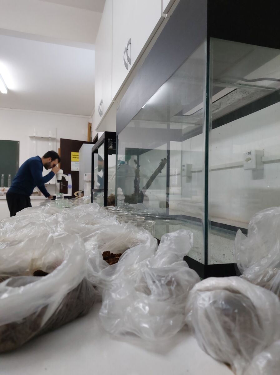 Laboratório de Hidrologia | Universidade Estadual do Centro-Oeste