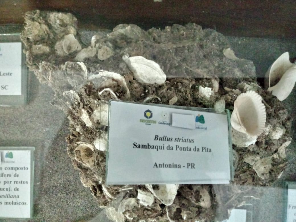 Sambaquis | Museu de Ciências Naturais